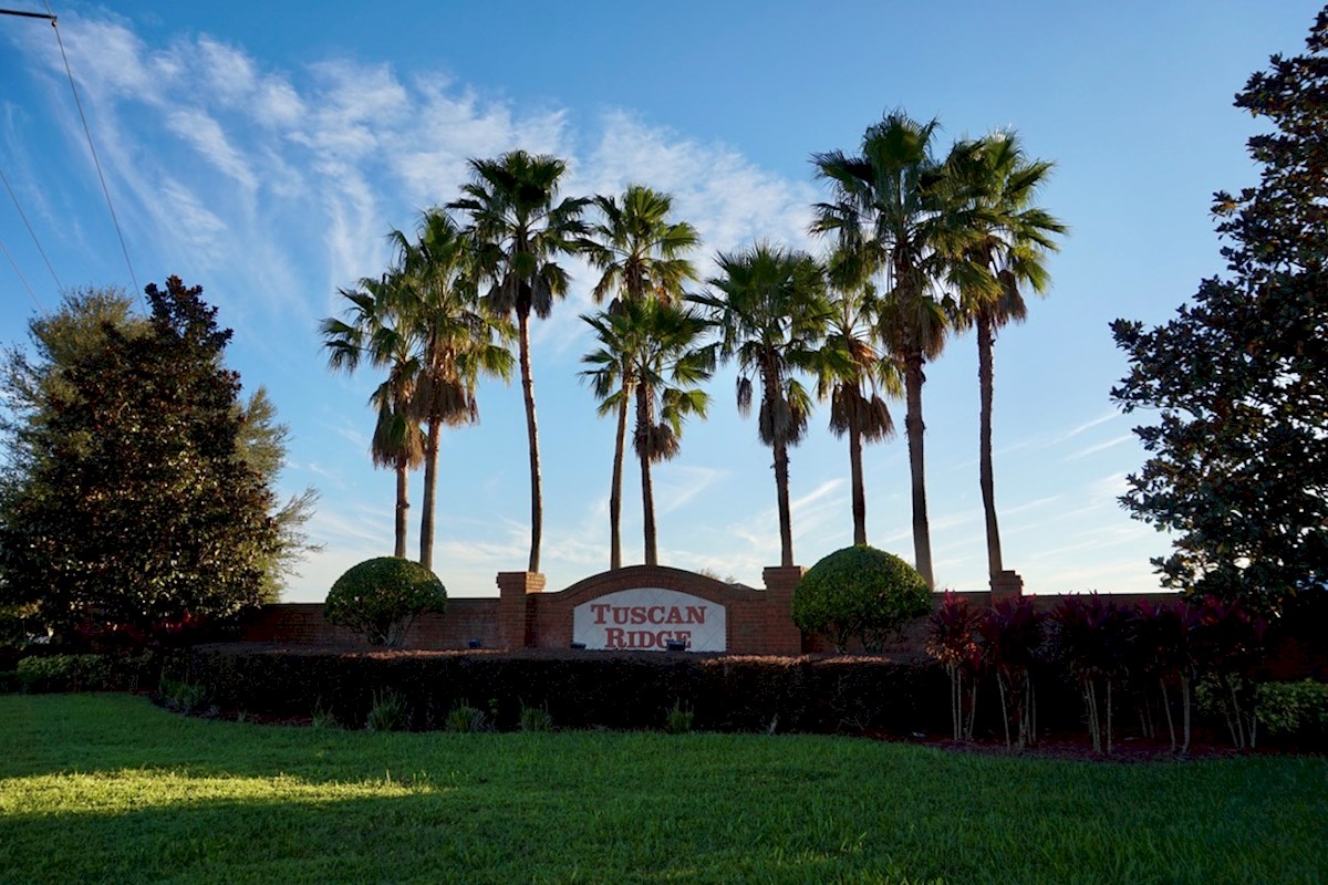 Tuscan Ridge - Luxury 4 bed/3 bath Orlando villa w/pool & spa