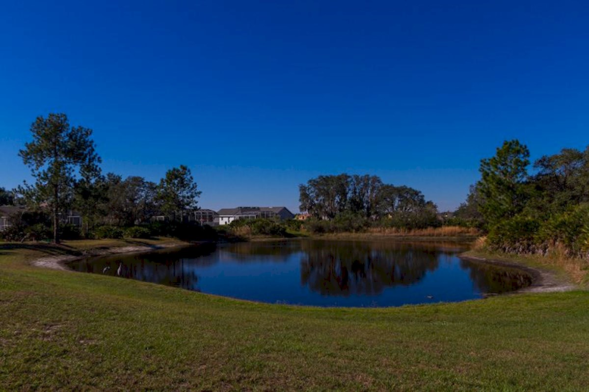 Sunridge Woods 3 Bedroom 2 Bath Florida Villa